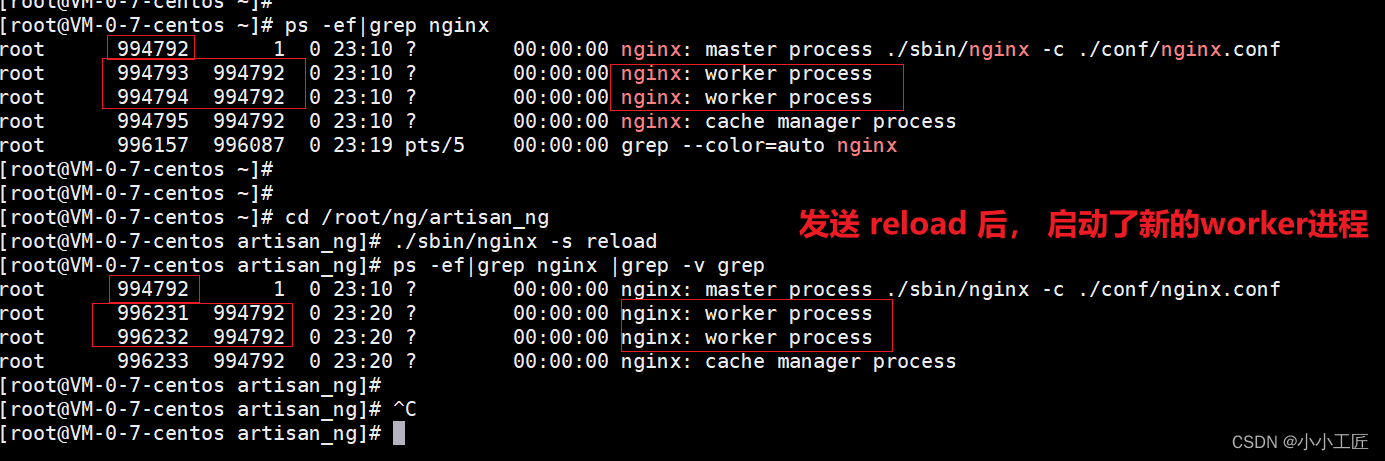 重识Nginx - 14 Nginx 多进程结构_nginx master process-CSDN博客