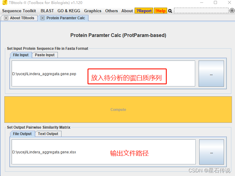 实验篇——理化性质与亚细胞定位_aliphatic index-CSDN博客