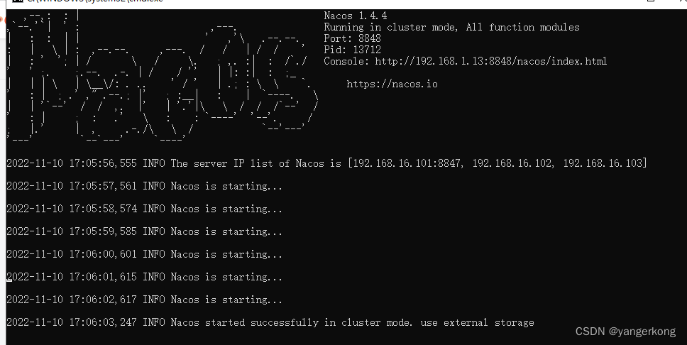 在Windows环境下配置及安装Nacos_windows necos 链接数据库-CSDN博客