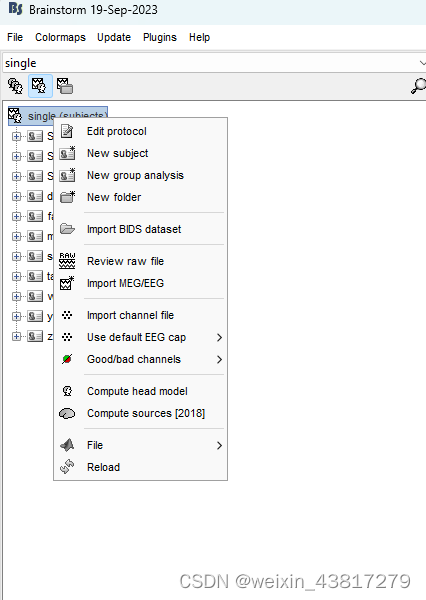 用brainstorm进行脑电数据ICA方法_brainstorm脑电-CSDN博客