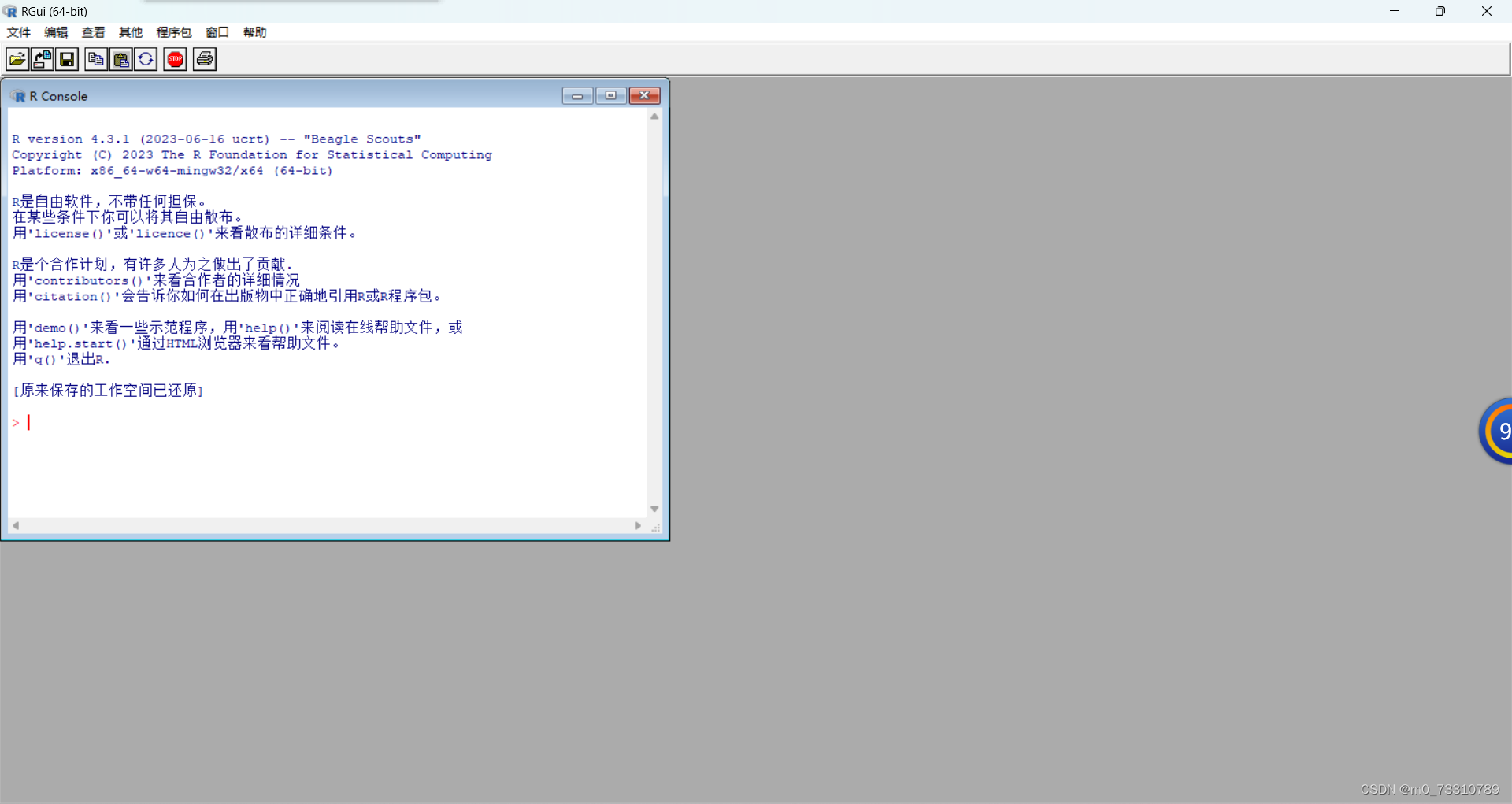 R和Rstudio的安装（超详细）_r studio-CSDN博客