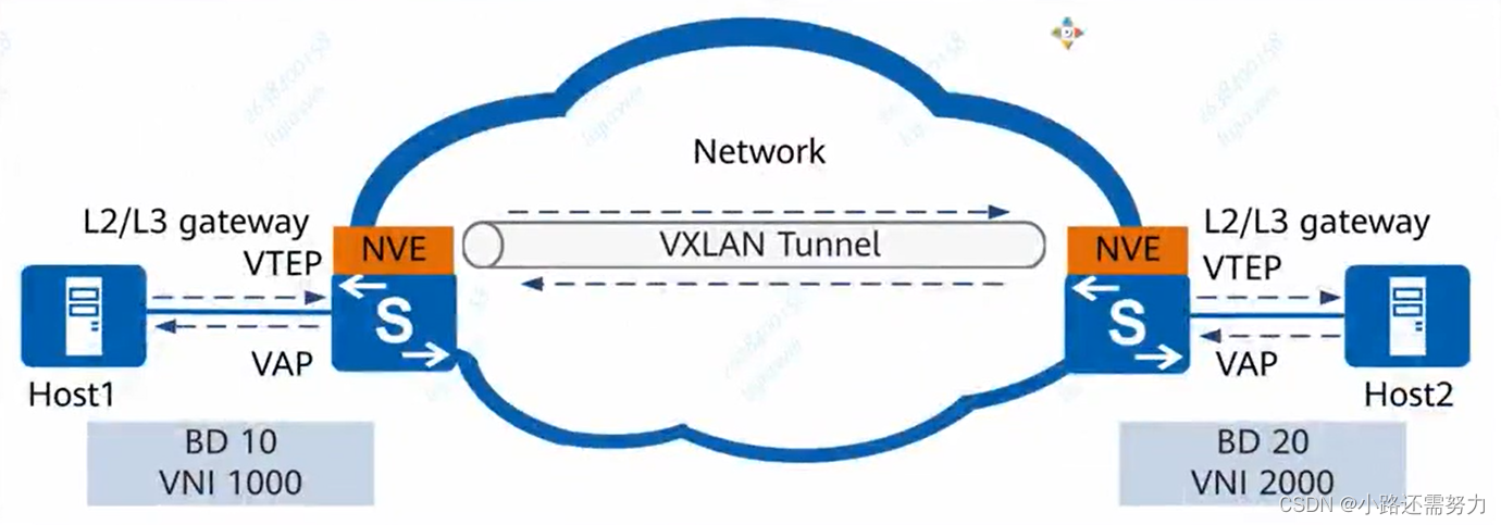 VXLAN基本概念_vxlan 协议号-CSDN博客