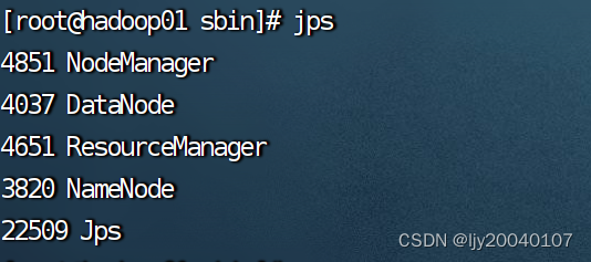 hadoop启动后jps进程没有Datanode进程的解决方法_jps没有datanode进程-CSDN博客
