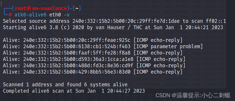 Thc-Ipv6 使用-CSDN博客