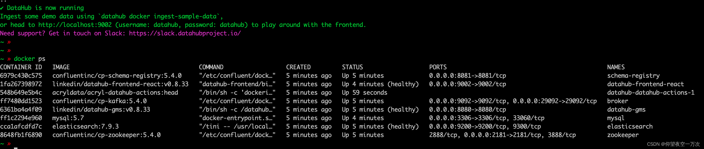 Mac系统安装Datahub的0.8.33版本_openmetadata和datahub 有mac版本吗-CSDN博客