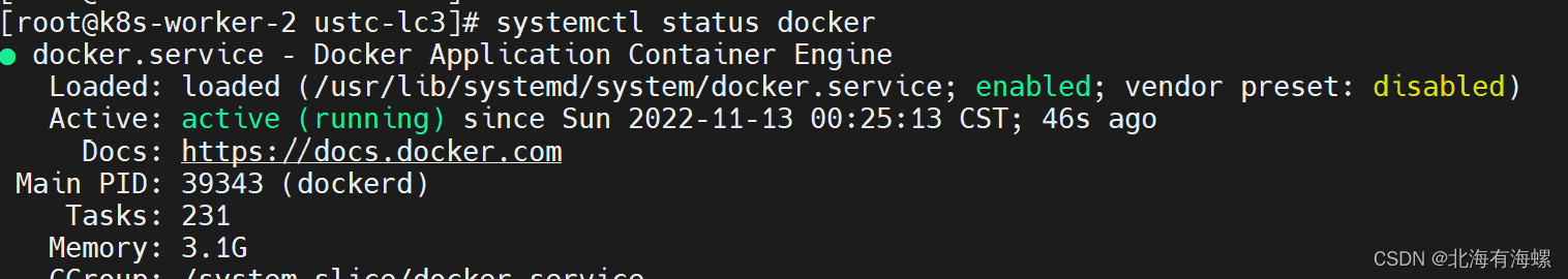 重启docker卡死问题解决systemctl Start Docker卡住不动 Systemctl Start Docker没反应 Csdn博客
