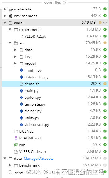 Code Ocean 上传代码 手把手教程-CSDN博客