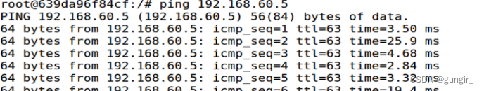 seedlab:V** tunneling The Container Version_seedlab:virtual private network lab-CSDN博客