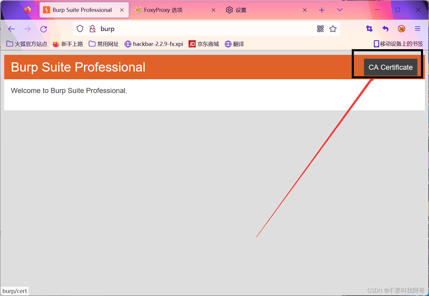 burp的配置过程及抓包记录-CSDN博客