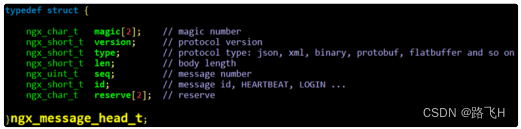 高效的网络传输协议设计protobuf_protobuffer协议-CSDN博客