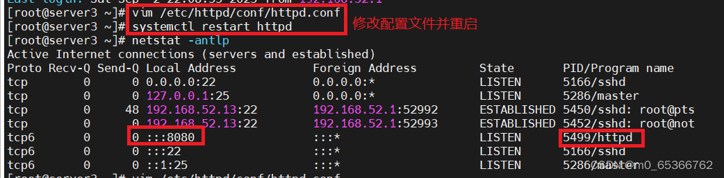 Lnmp架构之web服务器实战-CSDN博客