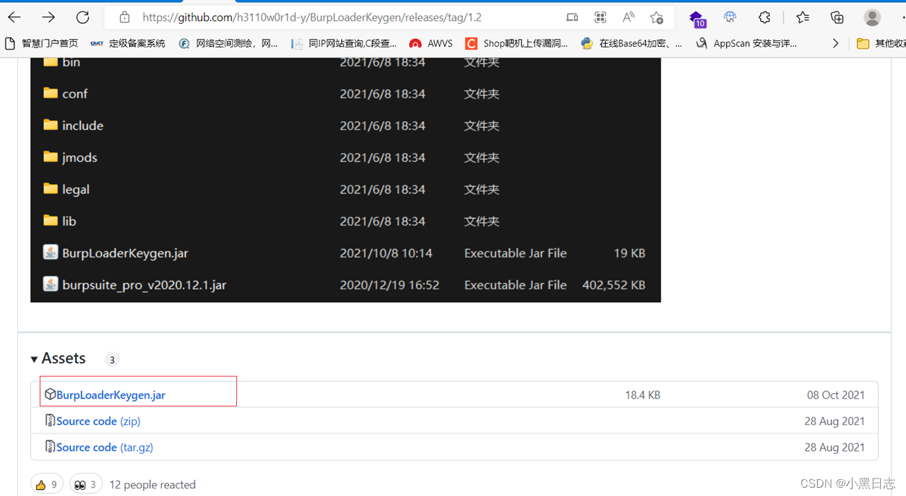 更换java版本环境变量burp Suite安装 小黑渗透工程栈(工具篇1)burpsuite对应java版本 Csdn博客