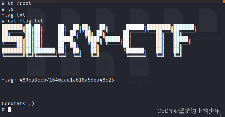 Silky-CTF_0x01 WriteUP_sillky-ctf-CSDN博客