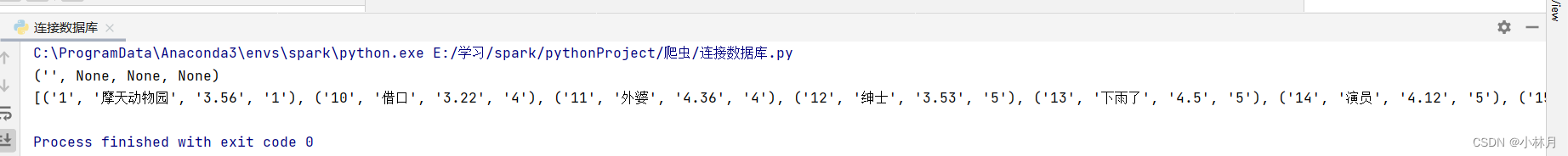 Python连接数据库 小林月python Excute库 Csdn博客