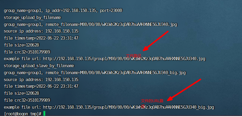 Linux安装FastDFS_fastdfs查看版本号-CSDN博客