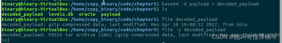 【5】ctf二进制分析实例payload+二进制基础工具介绍objdump etc_ctf,strings、strace使用教程-CSDN博客