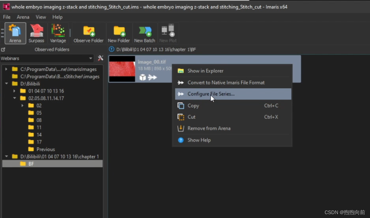 Imaris导入数据和初步使用_imaris教程-CSDN博客
