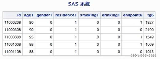 Sas应用入门学习笔记2sas如何导出部分变量 Csdn博客 0206