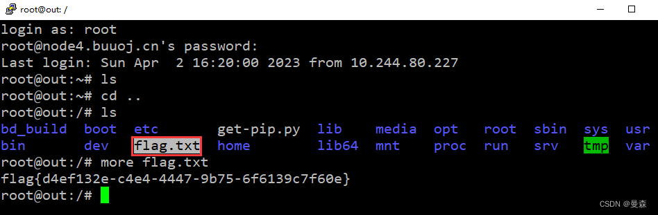 BUUCTF-Linux Labs_buuctf 启动靶机-CSDN博客