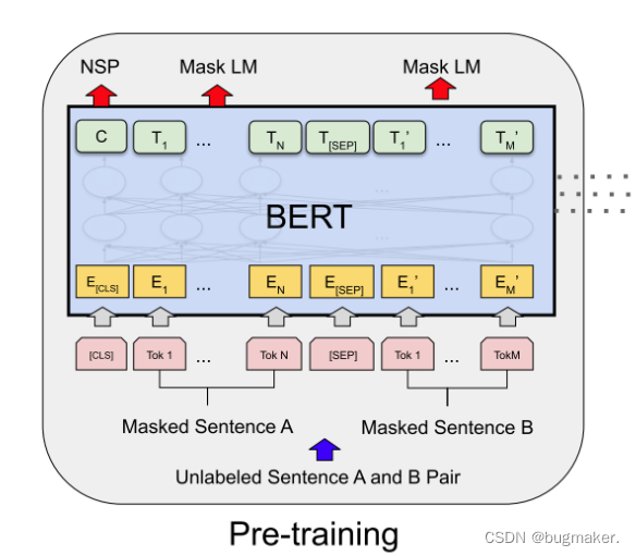 BERT论文精读_bert模型论文-CSDN博客