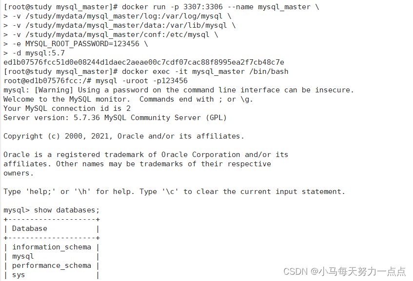 使用docker容器部署mysql主从复制用容器做mysql主从 Csdn博客