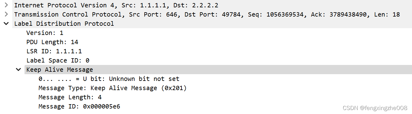 MPLS/LDP原理介绍+报文分析+配置示例_mpls报文格式-CSDN博客