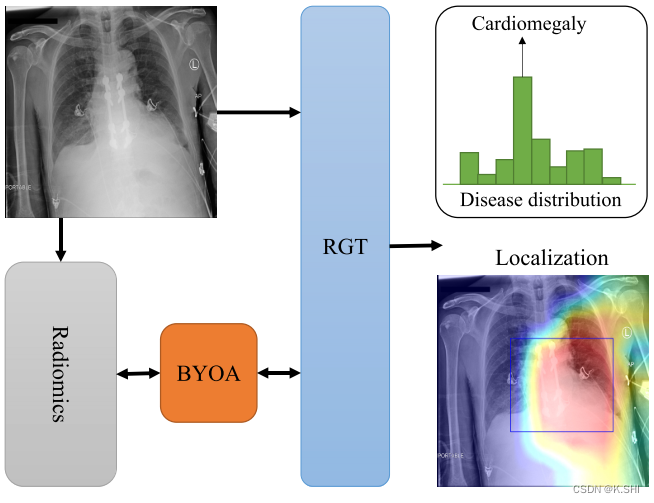 Radiomics-Guided Global-Local Transformer for Weakly Supervised ...