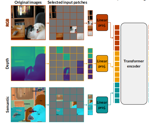 MultiMAE：多模式多任务掩码自编码器-CSDN博客