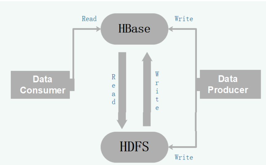 Hadoop-HBase_hadoop hbase-CSDN博客