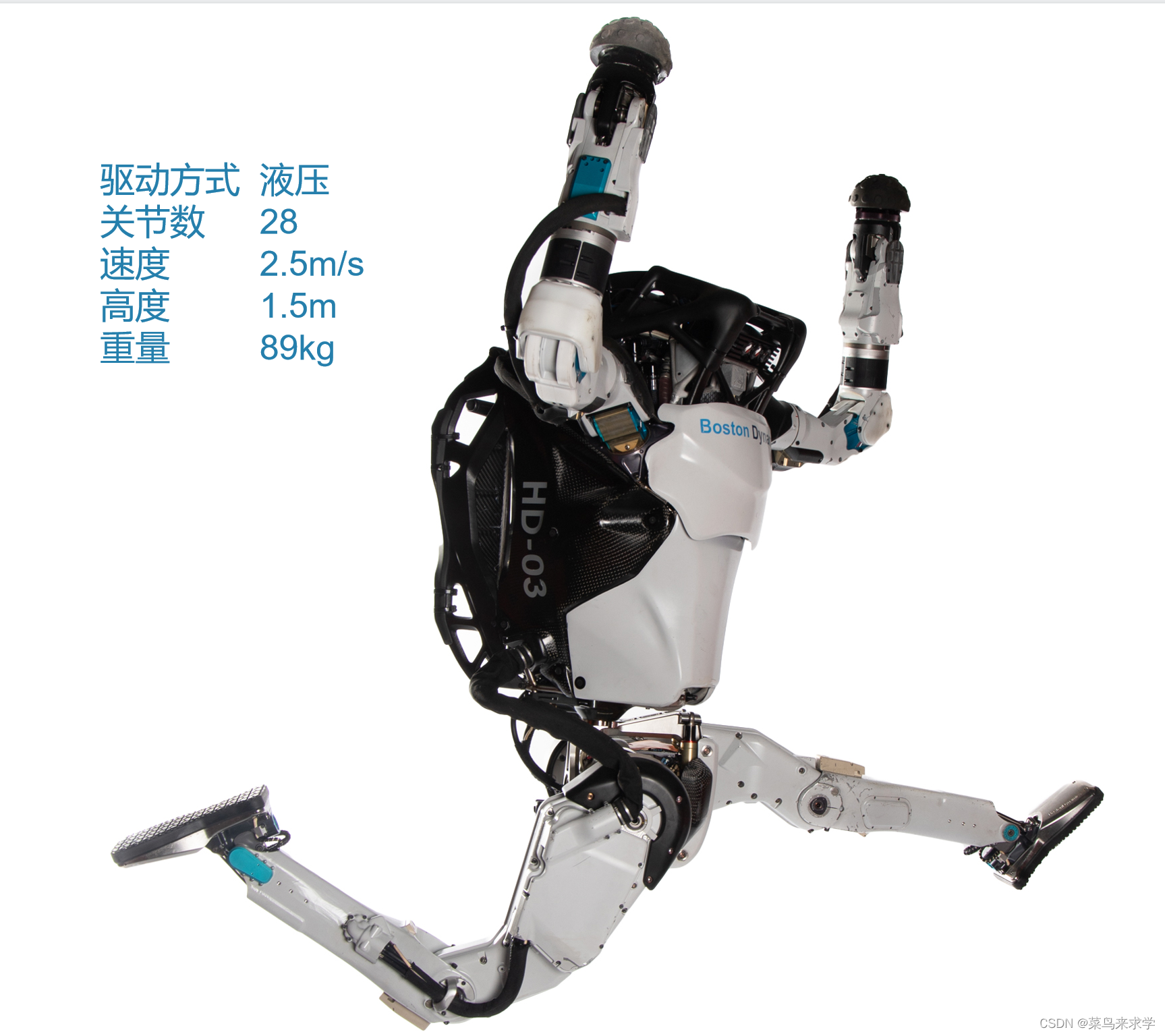 Tesla Bot 特斯拉机器人介绍-CSDN博客