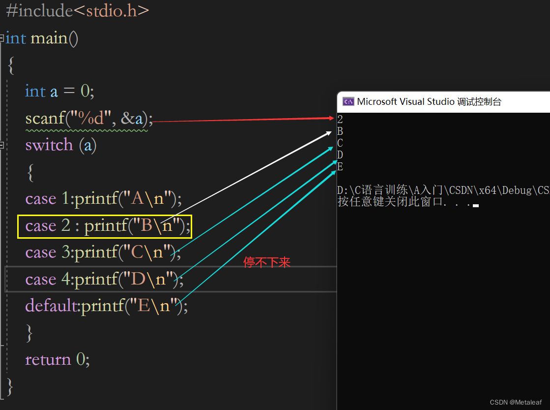 初识C语言（5）-CSDN博客