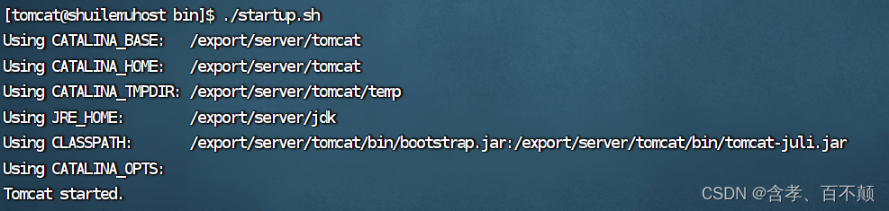 Linux启动tomcat时显示tomcat started但实际未启动-CSDN博客