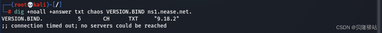 DNS信息搜集方法_通过dig查询bind版本-CSDN博客
