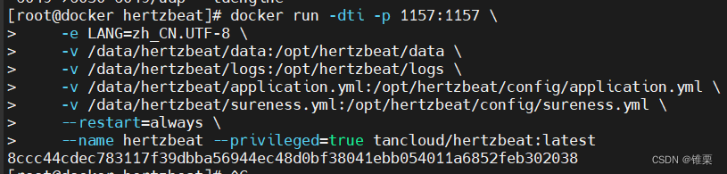 【监控】Hertzbeat在docker的安装与部署-CSDN博客