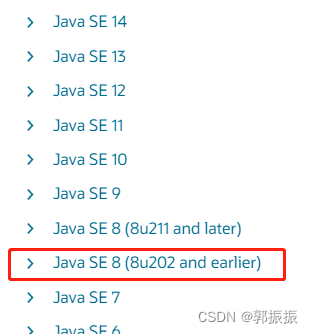 2024年甲骨文新版官网下载JavaSDK各个版本的方法_甲骨文官网-CSDN博客