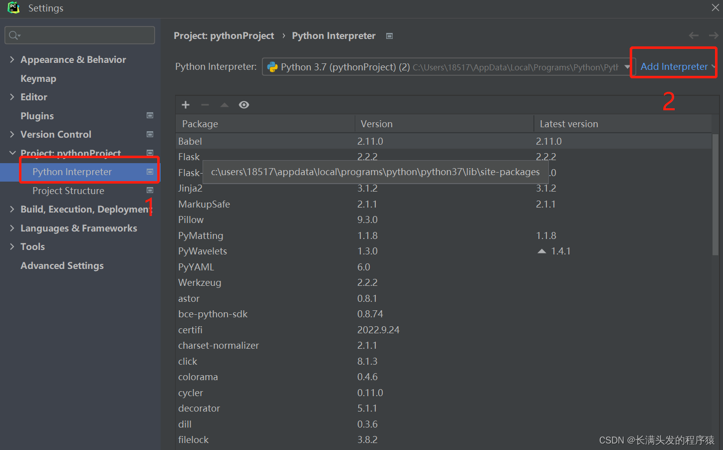 PyChrm 引入 import paddle 报错-CSDN博客