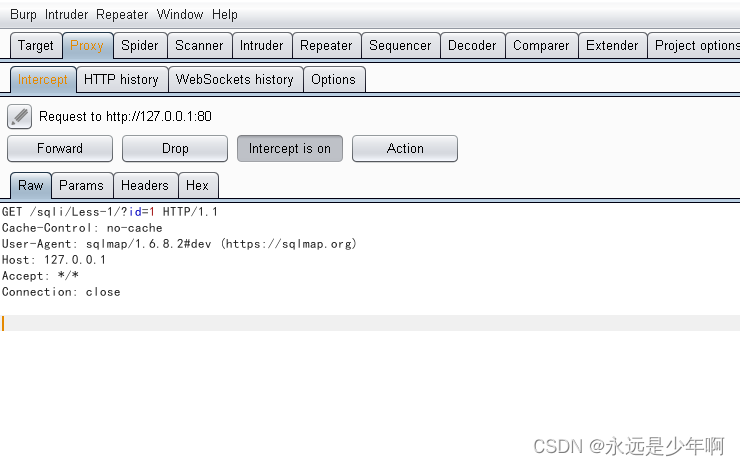 Sqlmap绕过waf小技巧sqlmap Waf绕过 Csdn博客