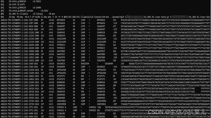 SAM文件解读-CSDN博客