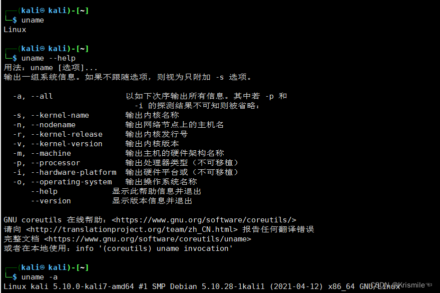 Kali Linux 基础命令讲解一 Kali保存退出的命令 Csdn博客
