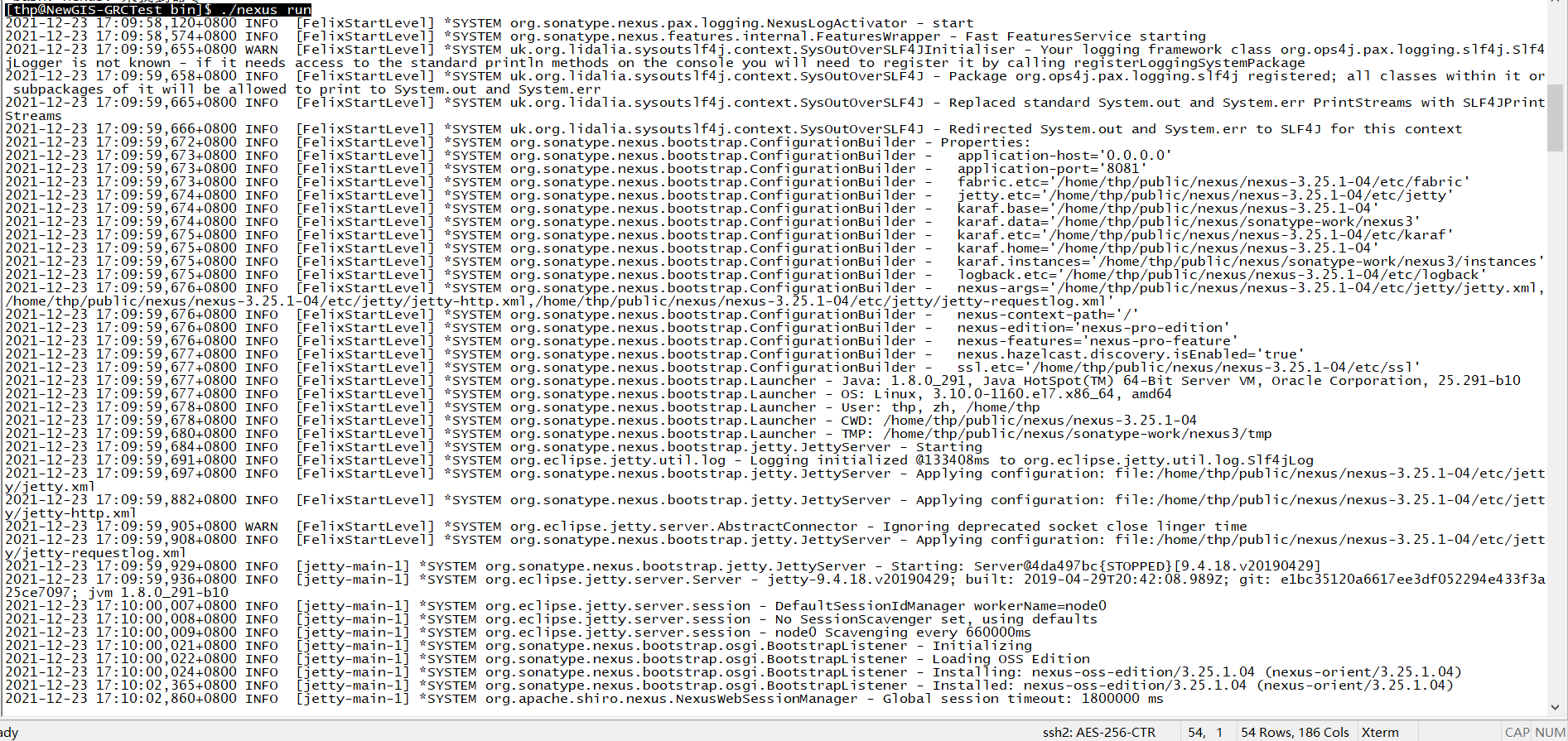 Linux 部署 Nexus （下载、安装、使用）_luixn下载nexus-CSDN博客