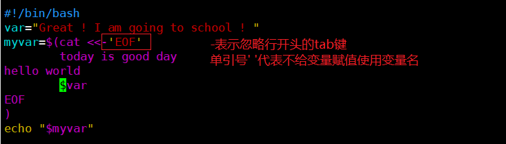 Shell编程之免交互expect Tee Csdn博客 