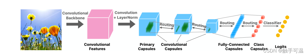 图像分类 Convnext 结合capsnet胶囊网络 Convnext Cifar10 Csdn博客