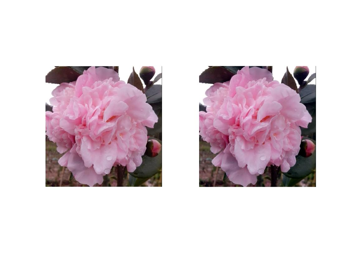 matlab图像灰度调整——imadjust函数的使用-CSDN博客