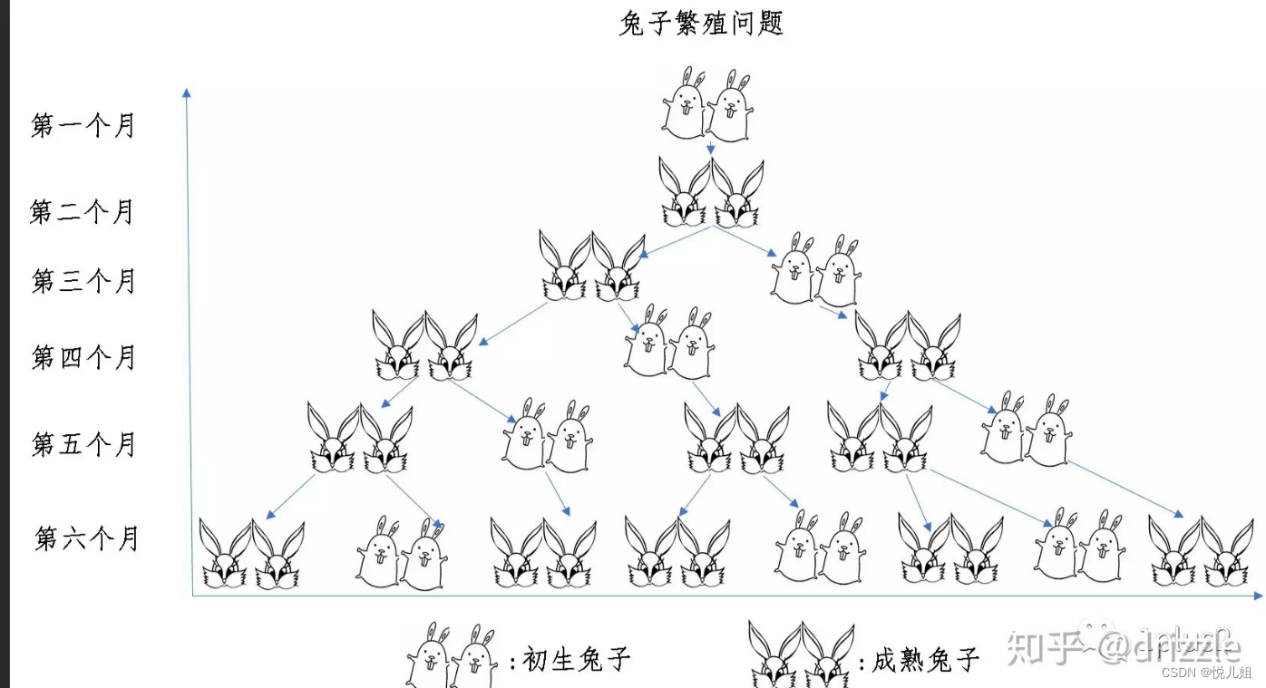 斐波那契和他的不死兔子斐波那契数列实现python动态规划经典案例递归案例斐波那契和他的兔子 Csdn博客