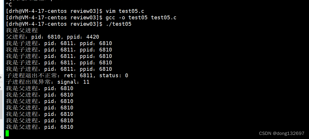 Linux进程控制_linux execv putenv-CSDN博客