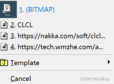 CLCL-一款强大的复制粘贴软件-CSDN博客