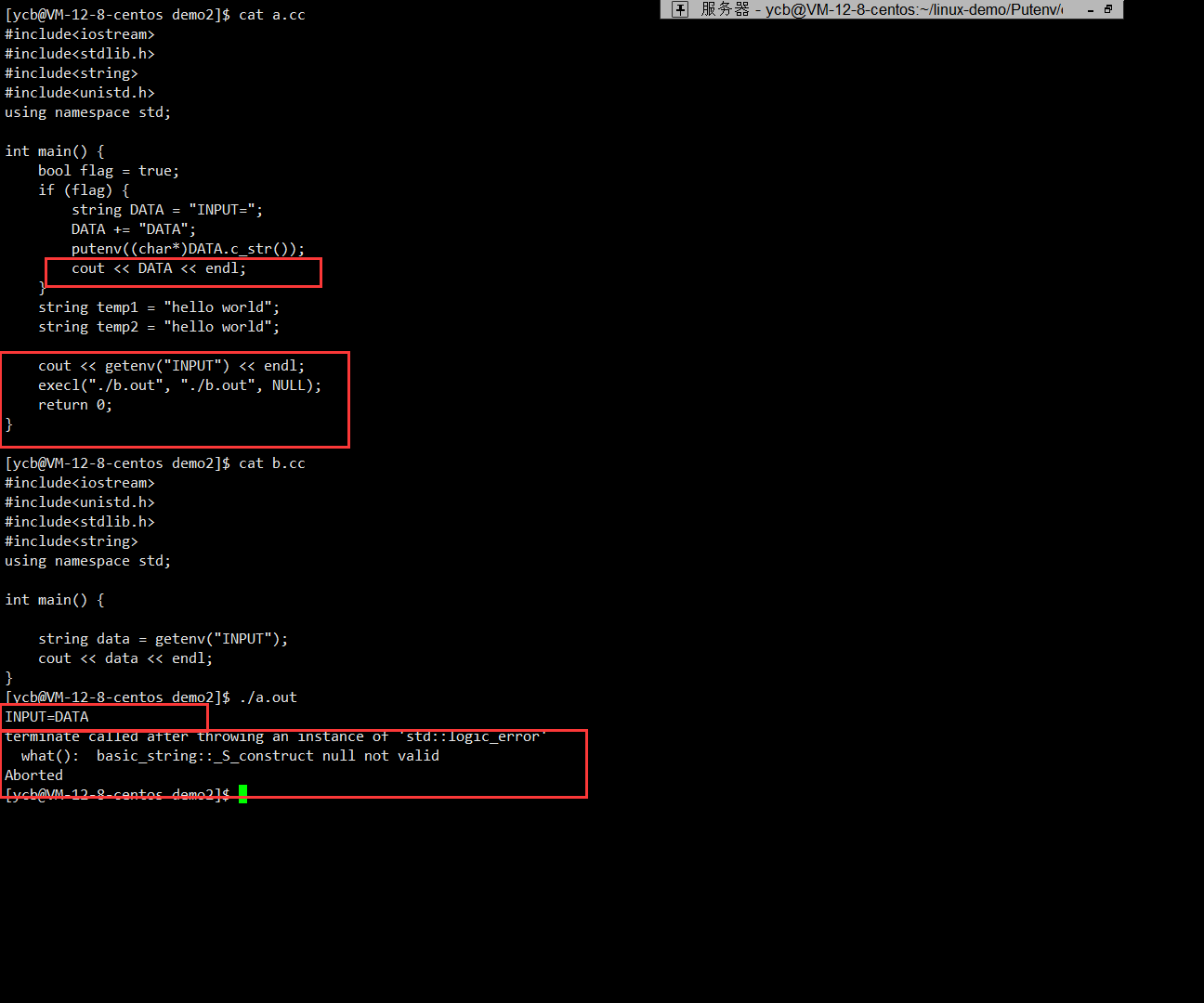 进程环境变量：putenv函数的不安全问题-CSDN博客