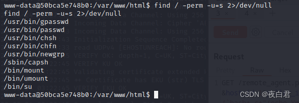 HackTheBox系列-MonitorsTwo-CSDN博客