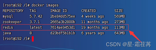 Docker安装redis【保姆级图文教程】设置密码、配置文件方式启动及数据持久化docker安装redis 设置密码 Csdn博客